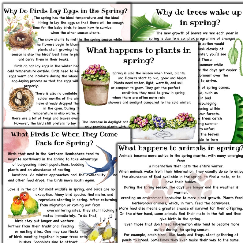 Spring Unit Study Nature Study Daffodil Unit Study Squirrel - Etsy