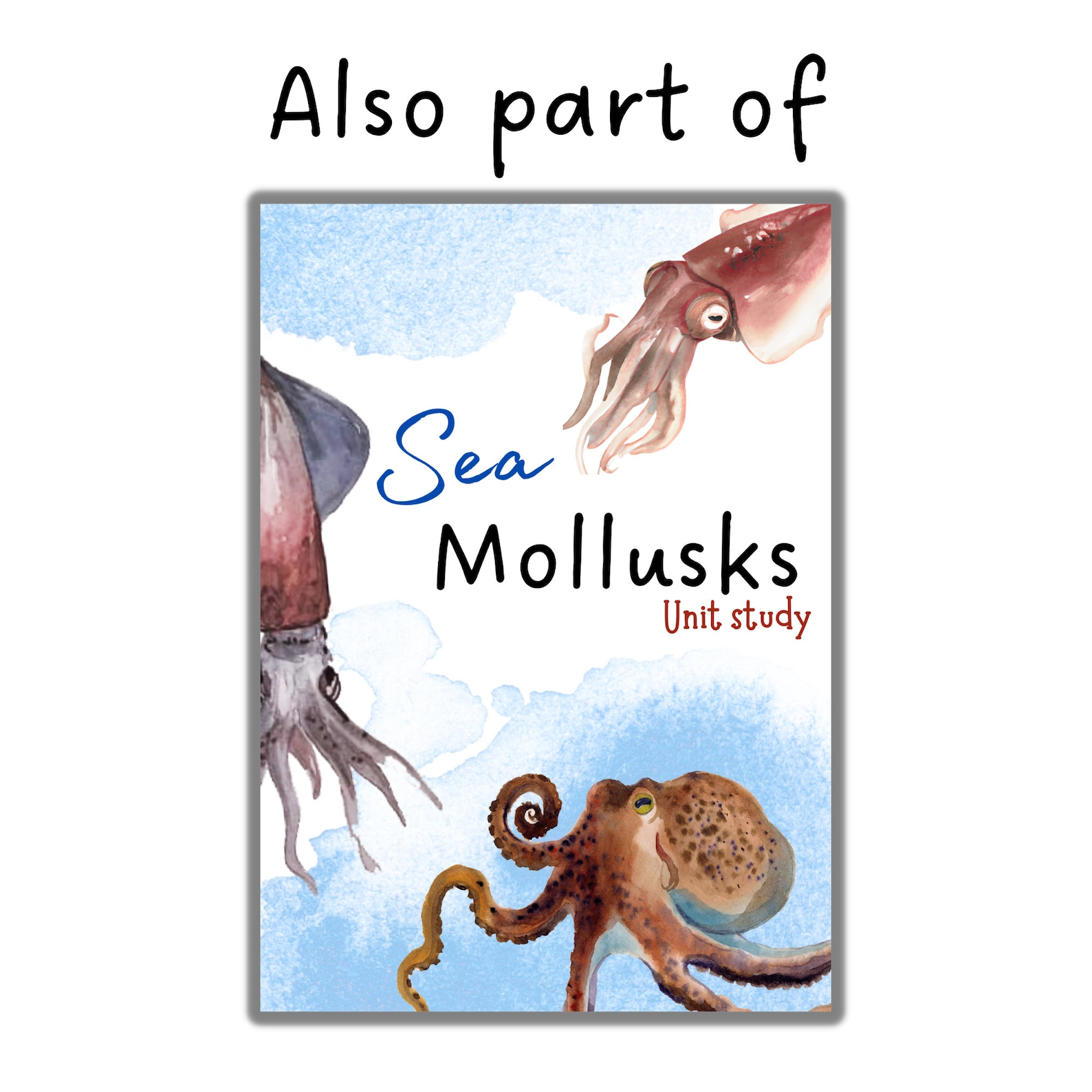 Octopus Mini Unit Study, Octopus Printable Puzzle, Octopus Activities ...