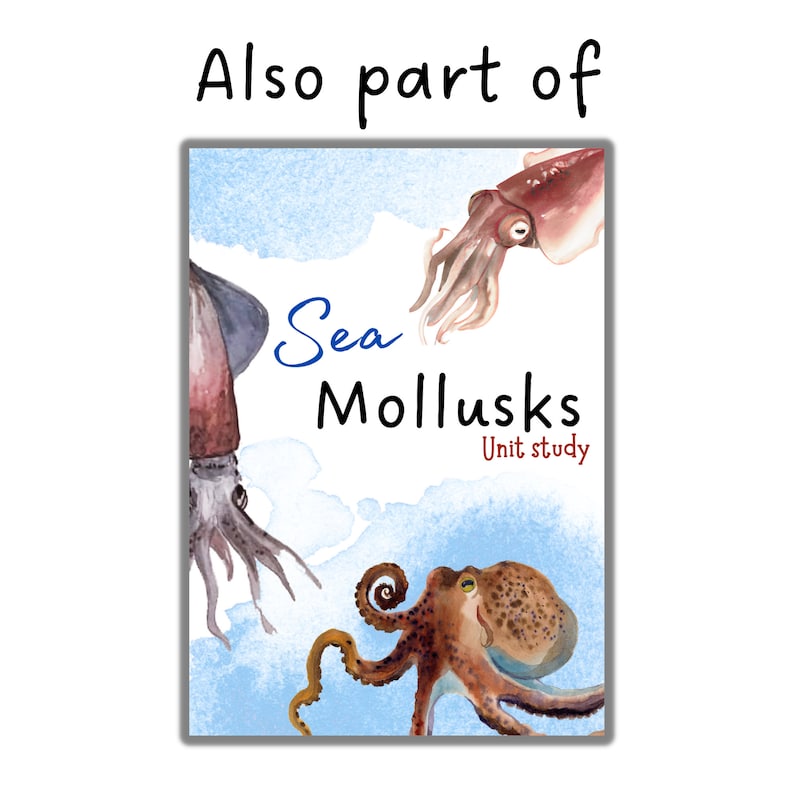 Octopus Mini Unit Study, Octopus Printable Puzzle, Octopus Activities ...