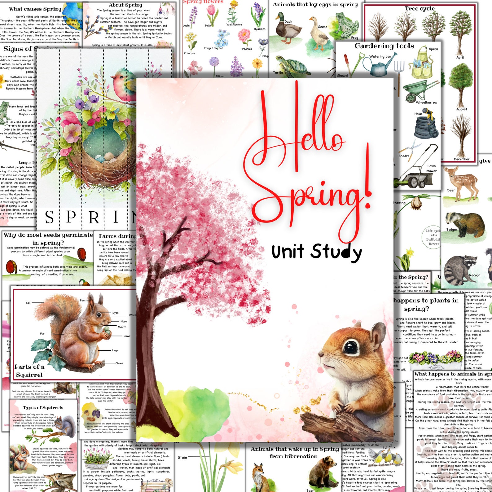Spring Unit Study, Nature Study, Daffodil Unit Study, Squirrel Unit ...