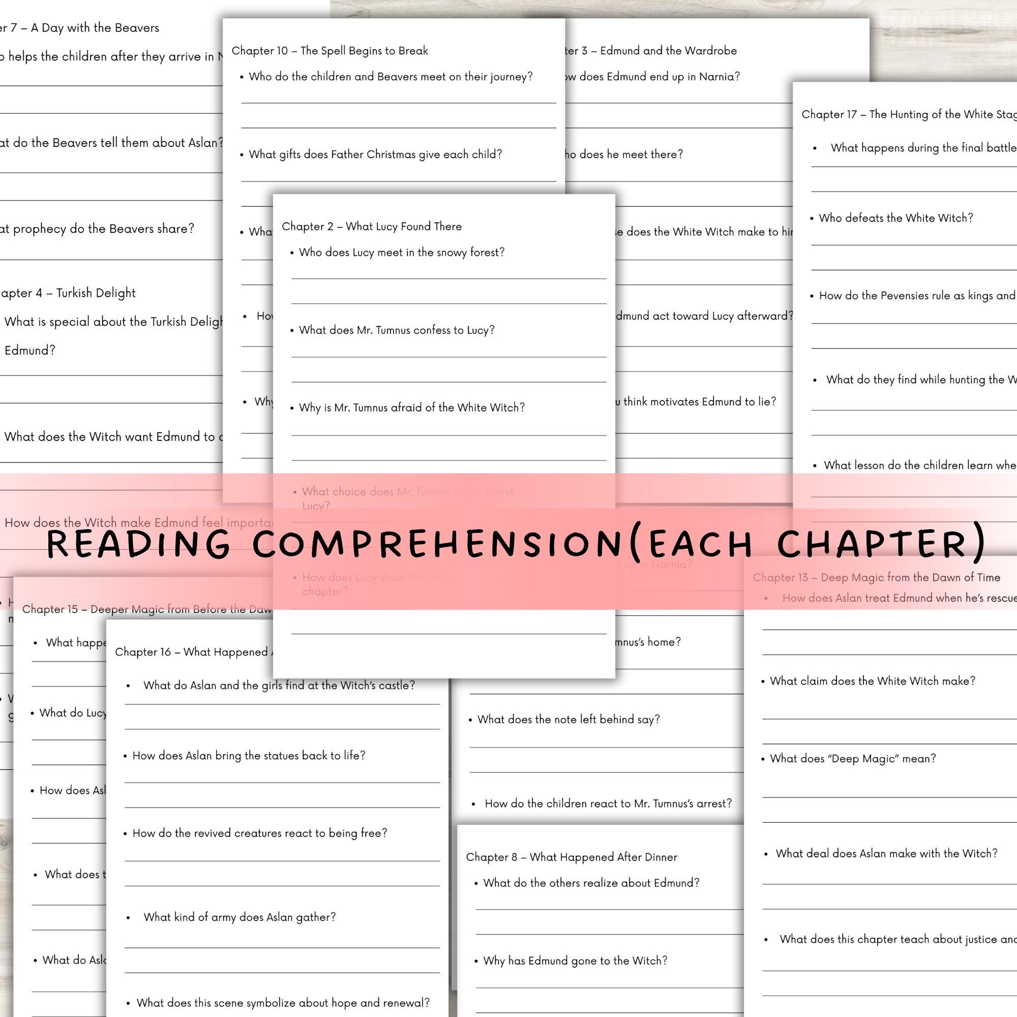 Narnia Novel Study, the Lion, the Witch and the Wardrobe Book Companion ...