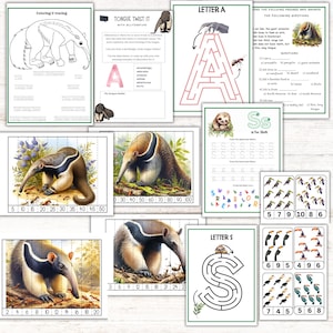 Rainforest Unit Study, Biome Unit , Rainforest Animals Worksheets ...