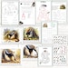 Rainforest Unit Study, Biome Unit , Rainforest Animals Worksheets ...