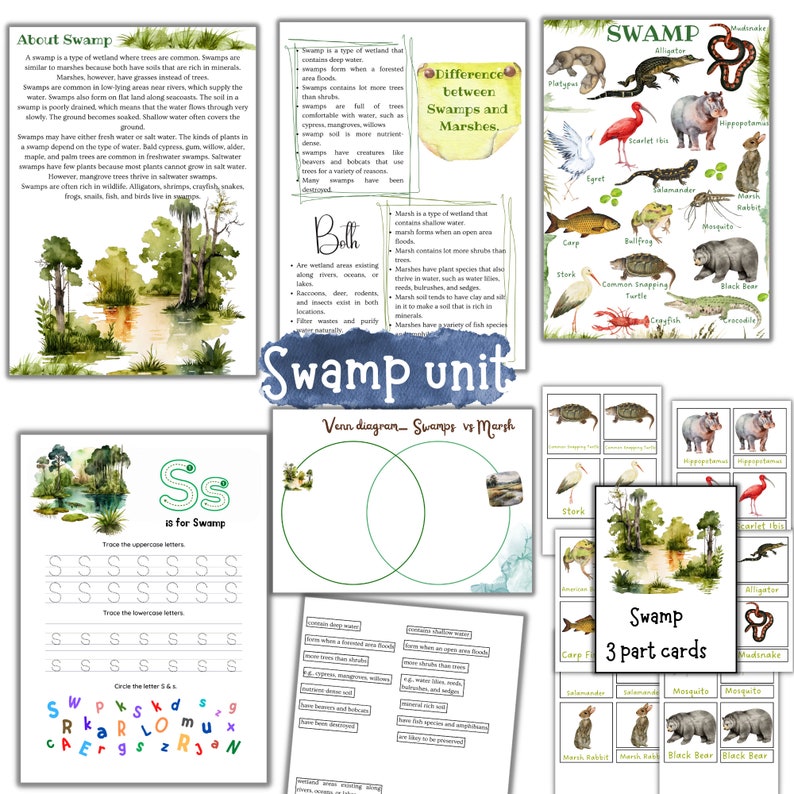 Pond Unit Study, Wetlands Unit, Swamp Unit, Dragonfly Unit Study, Pond ...