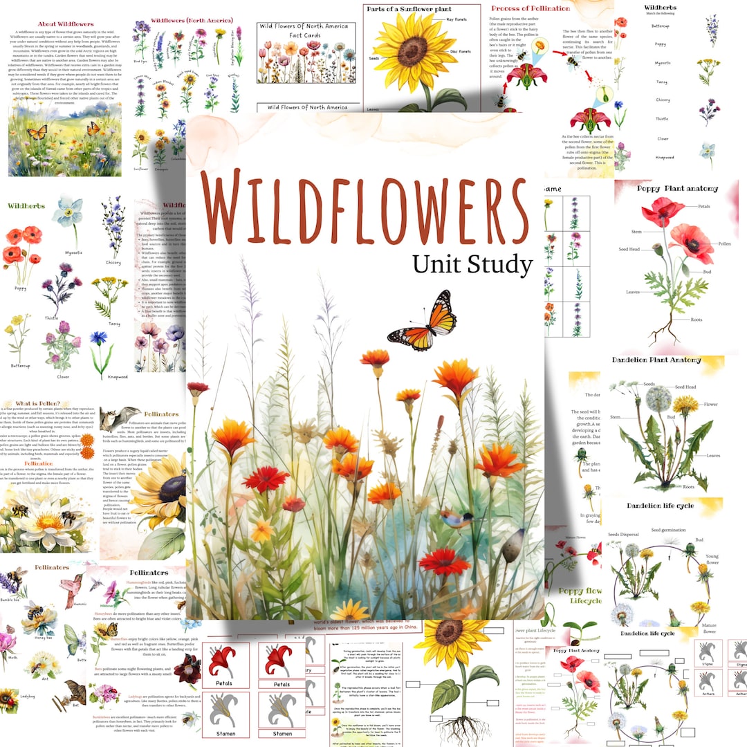 Wildflowers Unit Study, Pollinators Unit Study, Flower Anatomy, Nature ...
