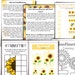 Flowers Unit Study,parts of Flower, Sunflower Life Cycle, Spring Unit ...