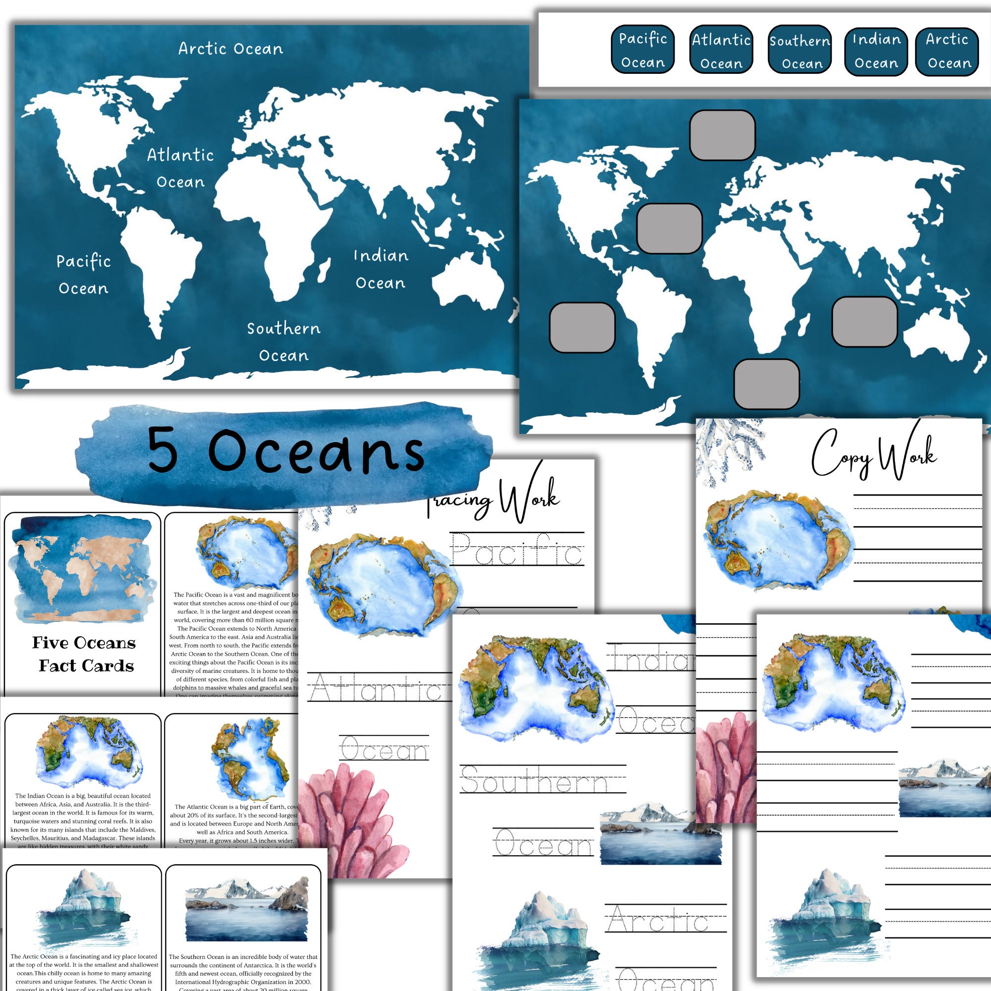 Ocean Unit Study, Ocean Layers, Ocean Animals Study, Ocean Families ...