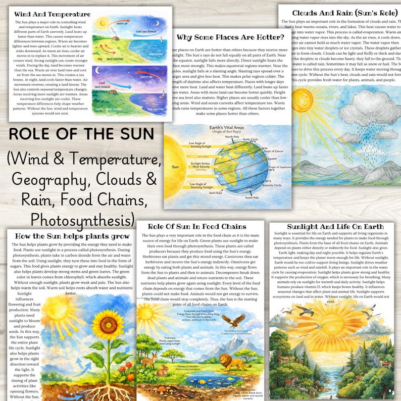 SUN UNIT STUDY, Sun Anatomy, Sun Printables, Sun Worksheets, Sun Layers ...