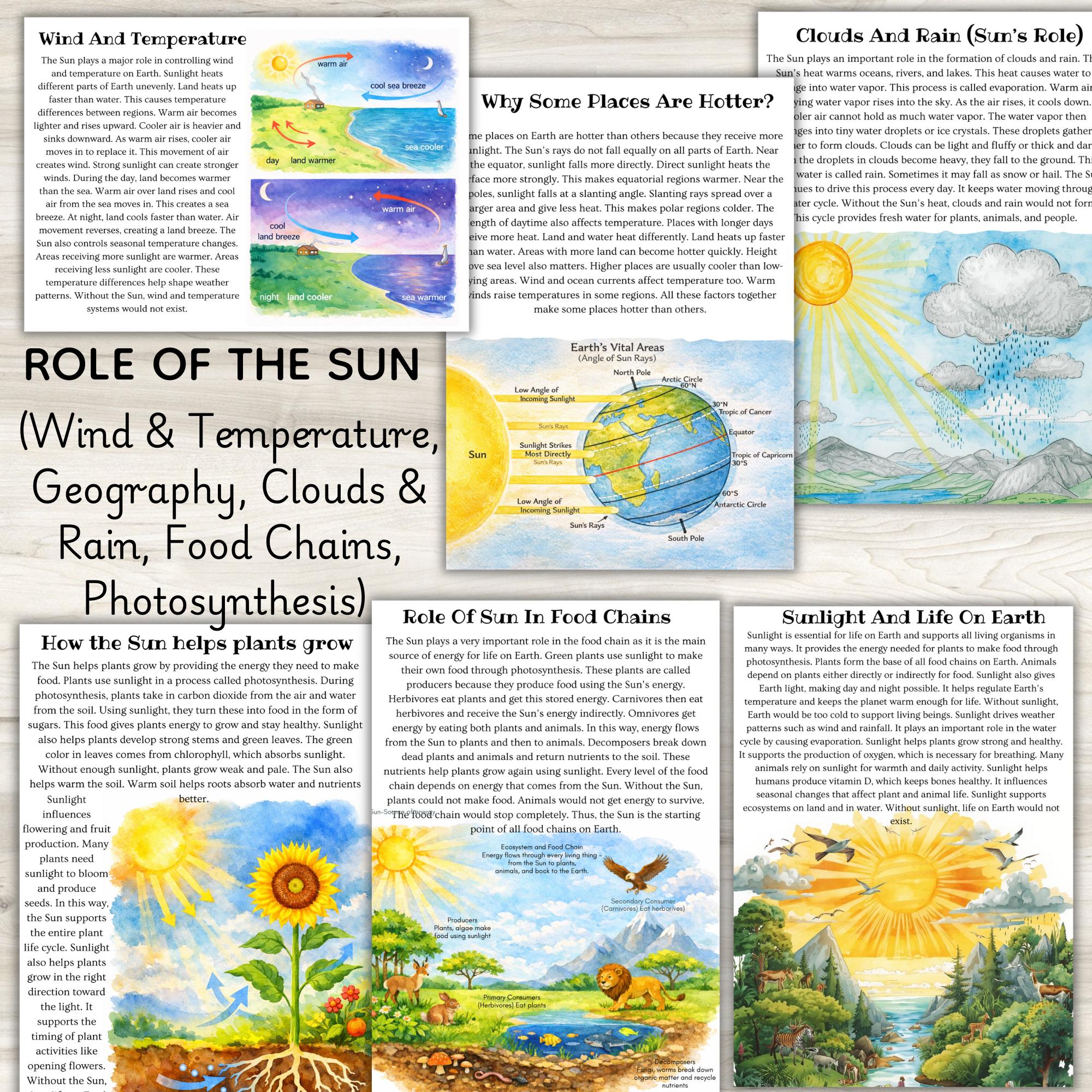 SUN UNIT STUDY, Sun Anatomy, Sun Printables, Sun Worksheets, Sun Layers ...