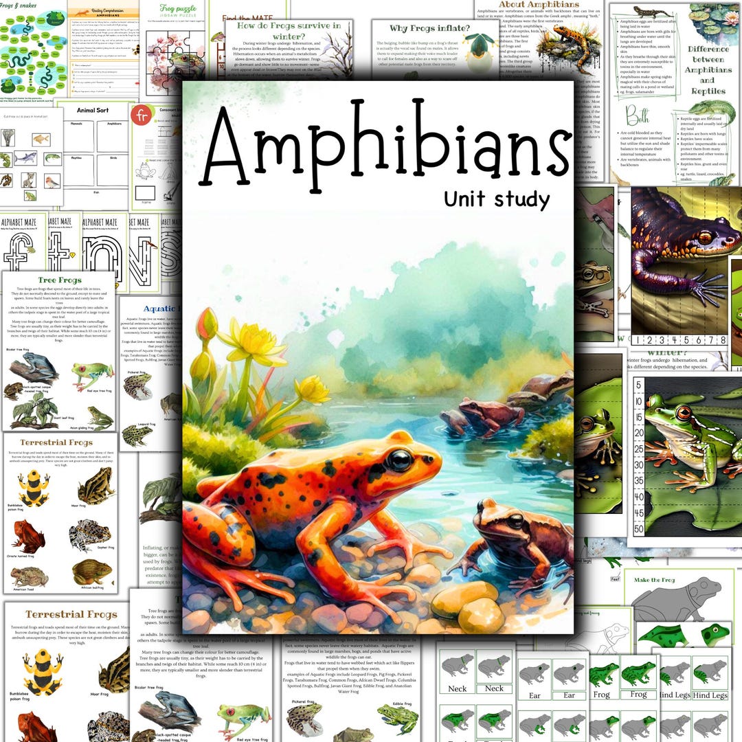 Amphibian Unit Study, Frogs Unit Study, Frogs 3 Part Cards, Frog ...
