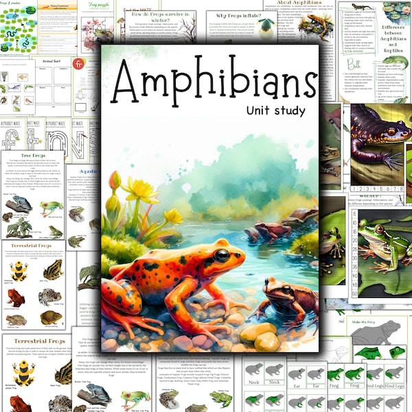 Frog Anatomy - Etsy