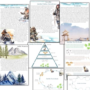Polar Regions Unit Study, Arctic Unit Study, Antarctica Unit Study ...