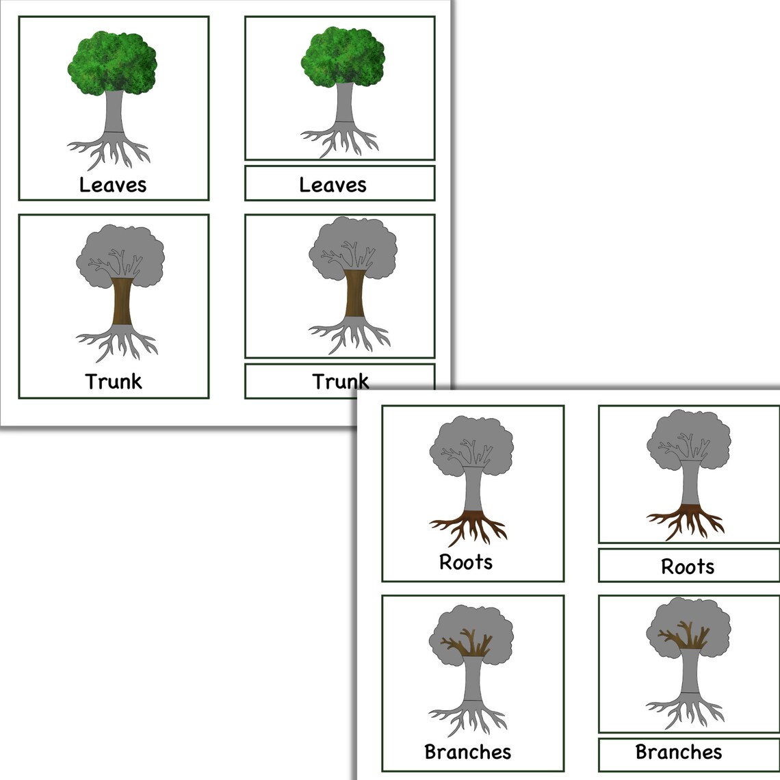 Parts of a Tree Puzzle , Tree Unit Study, Tree Anatomy, 3 Part Cards ...