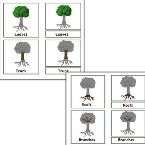 Parts of a Tree Puzzle , Tree Unit Study, Tree Anatomy, 3 Part Cards Tree, Tree Coloring, Nature ...