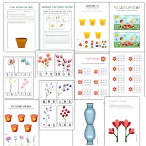 Wildflowers Unit Study, Pollinators Unit Study, Flower Anatomy, Nature ...