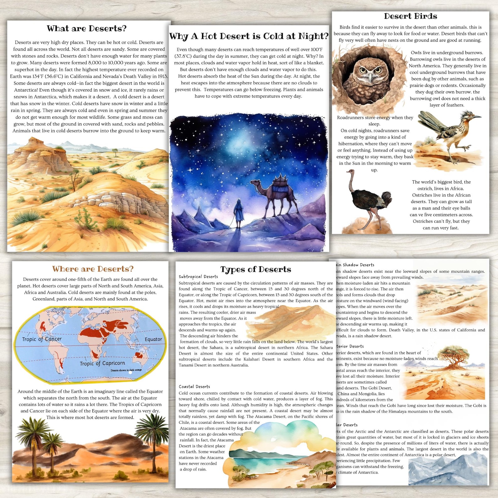 Biomes Unit Study, Land Biome, Geography Unit , Geography Homeschool ...