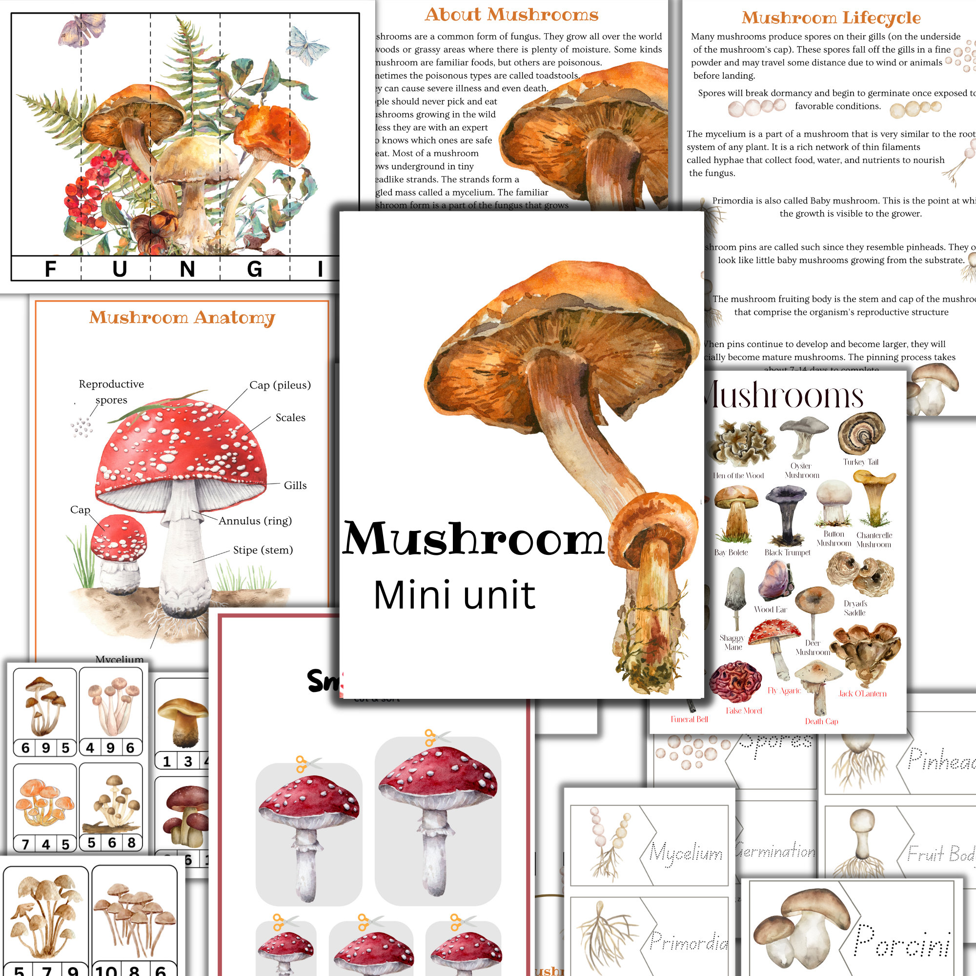 Mushroom Unit Study Mushroom Life Cycle Fall Nature Study - Etsy Australia