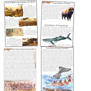 Native Americans Unit Study, Thanksgiving Unit, Bison Unit Study ...