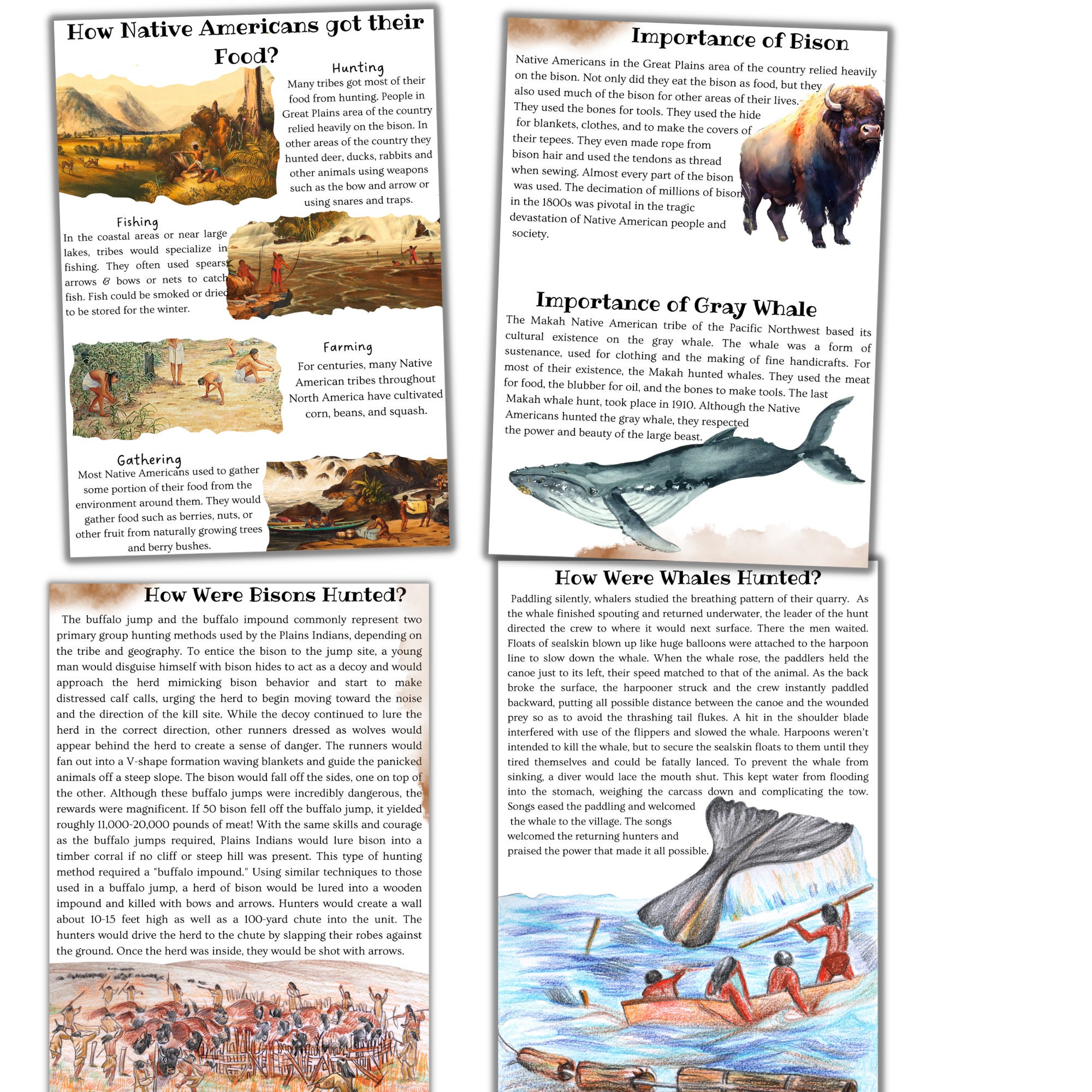 Native Americans Unit Study, Thanksgiving Unit, Bison Unit Study ...