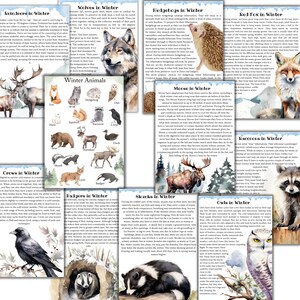 Winter Unit Study, Winter Forest Animals, Snow Unit Study, Carrot Unit ...