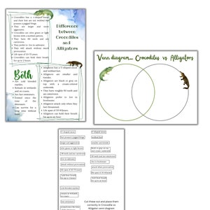 Crocodile Mini Unit Study, Crocodile Puzzle Printable, Crocodile ...