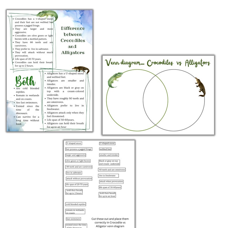 Crocodile Mini Unit Study, Crocodile Puzzle Printable, Crocodile ...