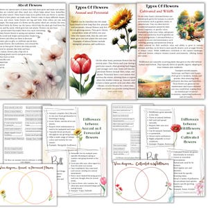 Flowers Unit Study,parts of Flower, Sunflower Life Cycle, Spring Unit ...