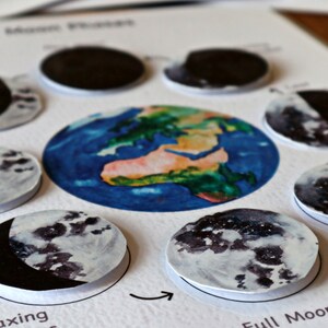 Moon Phases Printable, Moon Anatomy, Moon Unit Study, 3 Parts Cards ...