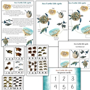 Reptiles Unit Study, Crocodile Unit Study, Turtle Unit Study, Reptiles ...