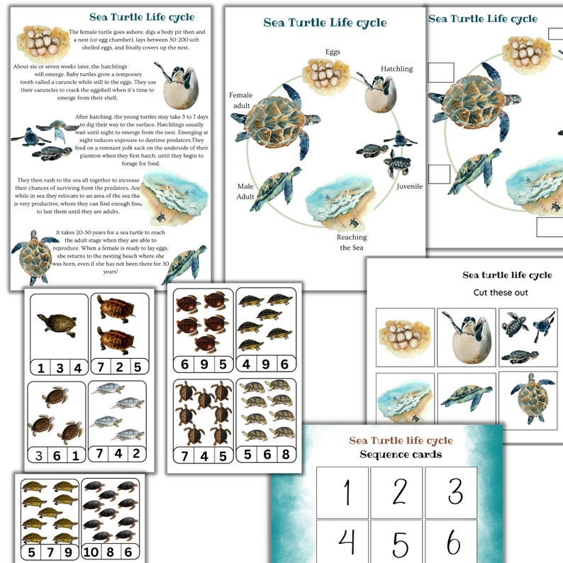Reptiles Unit Study, Crocodile Unit Study, Turtle Unit Study, Reptiles ...