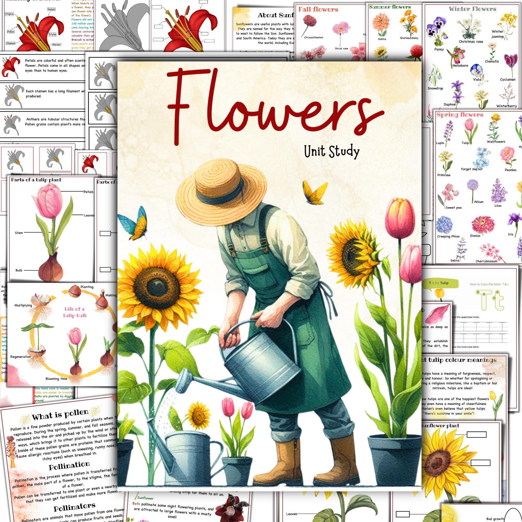 BOTANY Bundle, Flower Unit, Roots Unit, Fruits Unit, Trees Unit, Leaf ...
