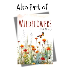 Pollinators Unit Study, Flower Anatomy, Pollination Process, Nature ...