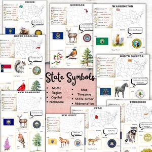 USA 50 States and State Capitals, Geography Lessons, 50 States of USA ...