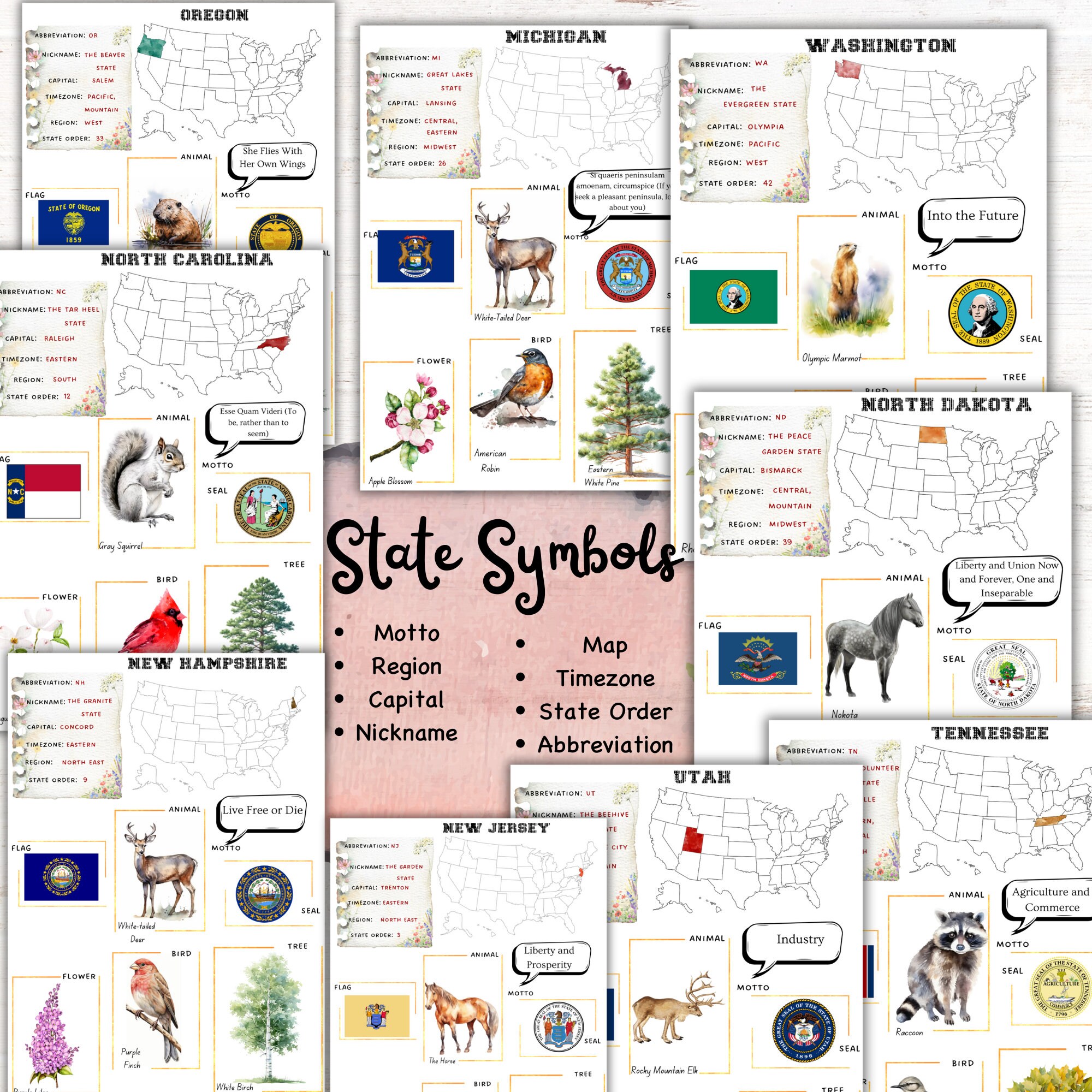 USA 50 States and State Capitals, Geography Lessons, 50 States of USA ...