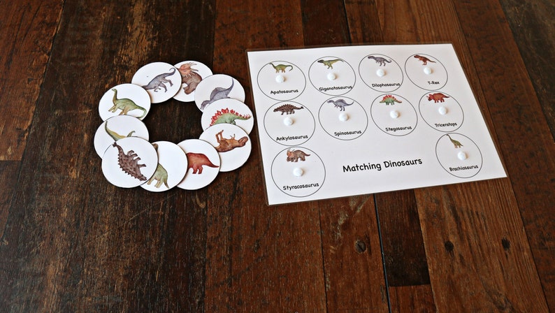 Dinosaurs Matching Printable, Dinosaurs Unit Study, Names of Dinosaurs ...