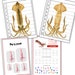 Mollusk Unit Study Octopus Unit Squid Unit Cuttlefish Unit - Etsy