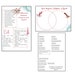 Squid Mini Unit Study, Mollusk Study, Sea Animals Activities, Squid ...
