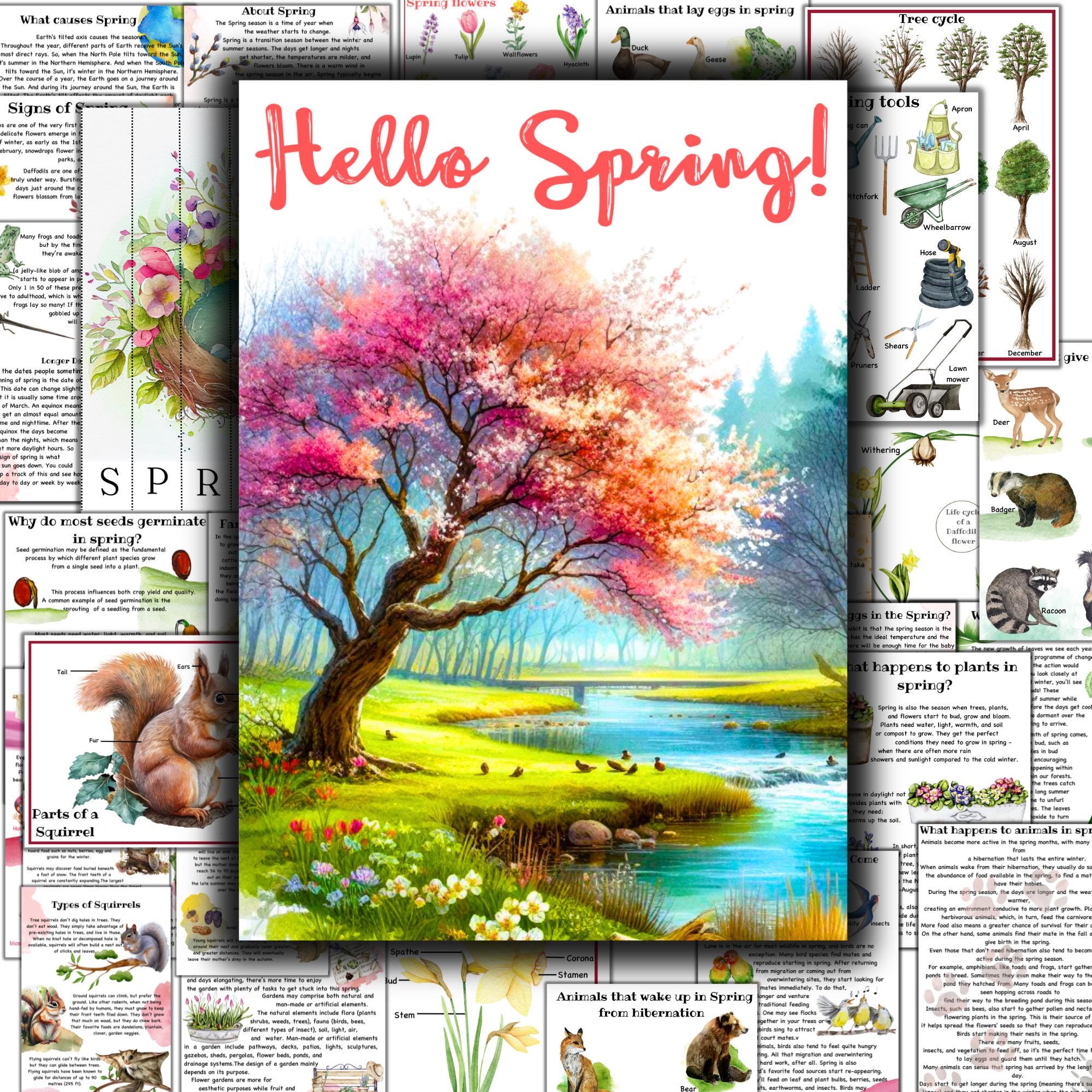 Spring Unit Study, Nature Study, Daffodil Unit Study, Squirrel Unit ...