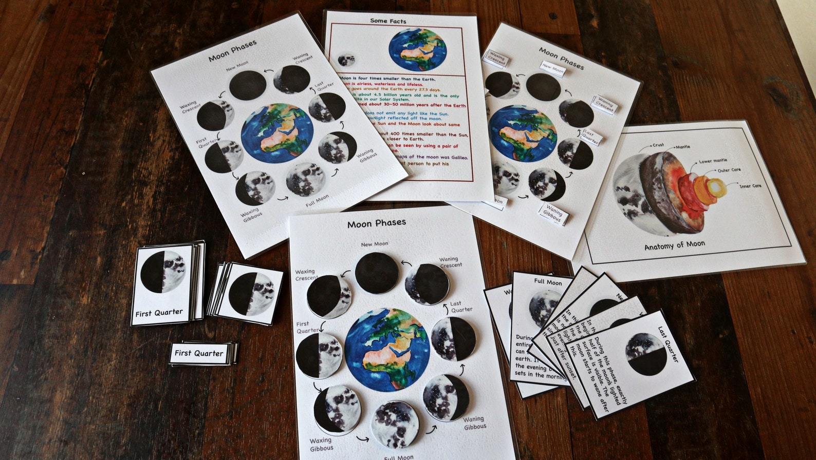 Moon Phases Printable Moon Anatomy Moon Unit Study 3 Parts - Etsy UK