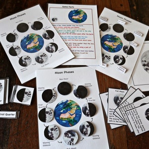 Moon Phases Printable, Moon Anatomy, Moon Unit Study, 3 Parts Cards ...