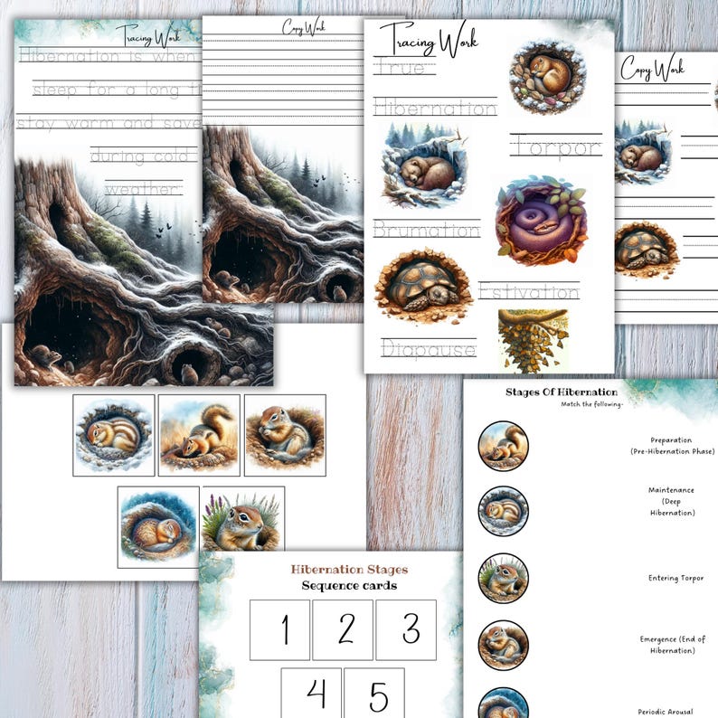 Hibernation Unit Study, Winter Sleep Unit Study, Winter Unit, Winter ...