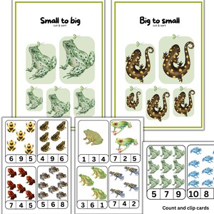 Amphibian Unit Study, Frogs Unit Study, Frogs 3 Part Cards, Frog ...