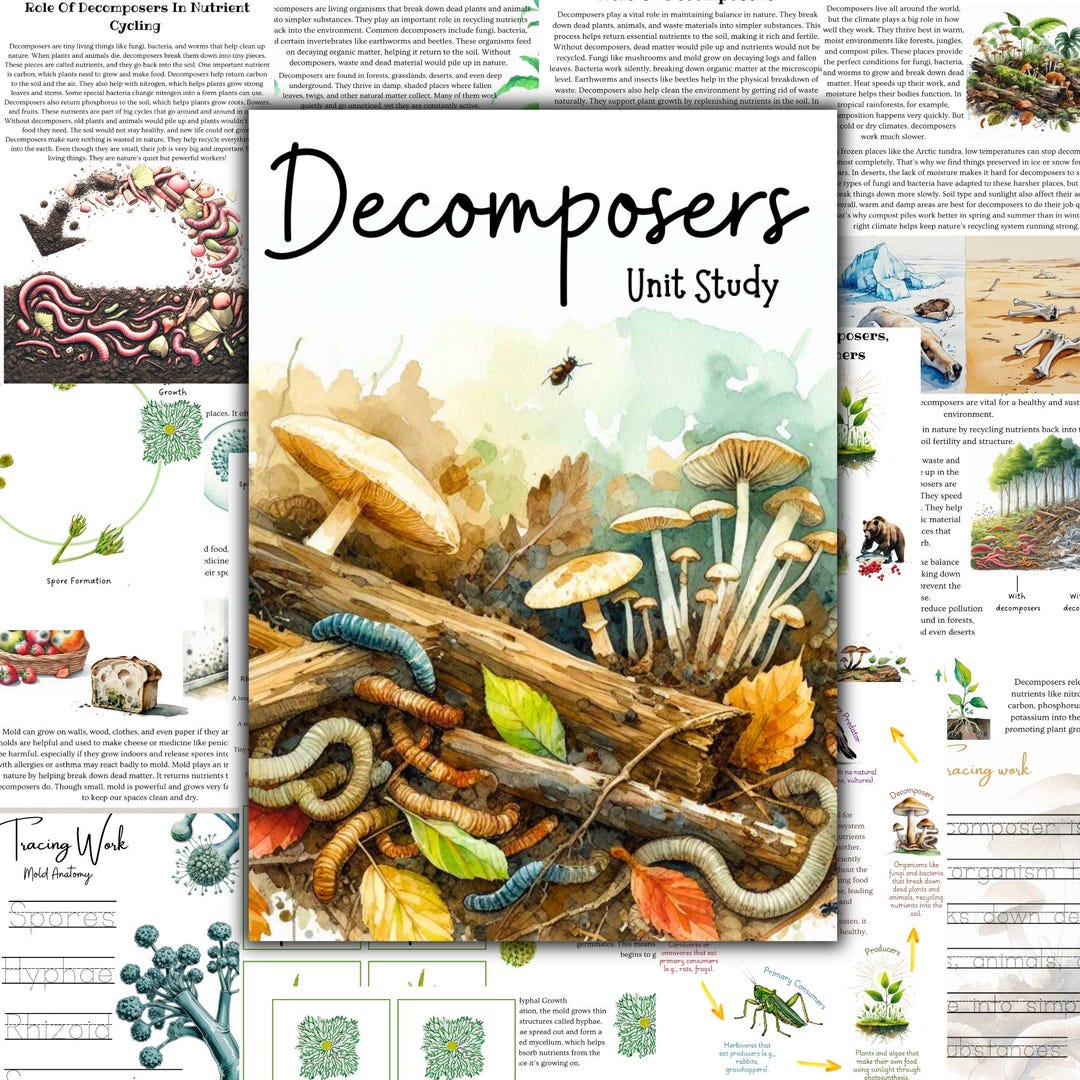 Decomposers Unit Study, Fungi Unit, Nature Study, Food Chain, Ecology ...