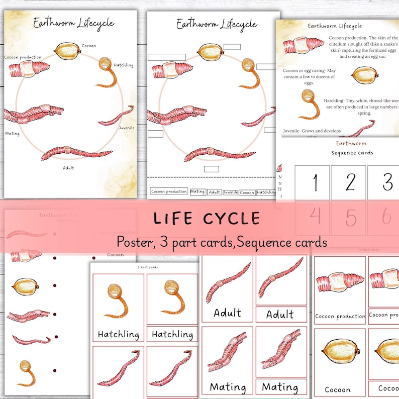 Earthworm Unit Study, Decomposer Unit Study, Nature Study, Homeschool ...