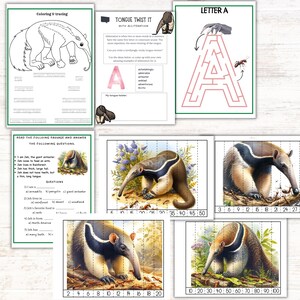 Giant Anteater Mini Unit, Giant Anteater Anatomy, Giant Anteater ...