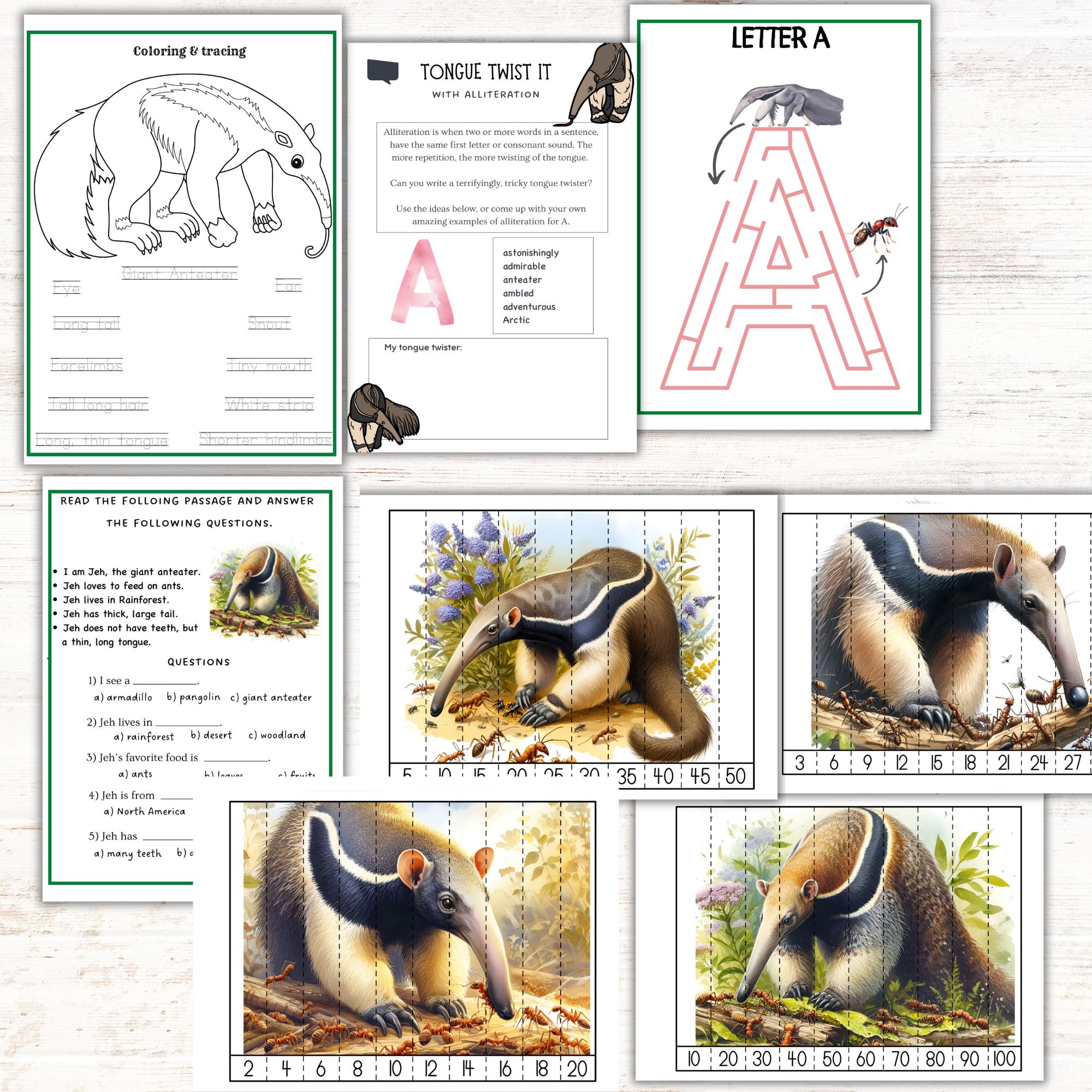 Giant Anteater Mini Unit, Giant Anteater Anatomy, Giant Anteater ...
