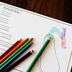 Human Gallbladder Anatomy Printable Activity, Gallbladder Puzzle ...