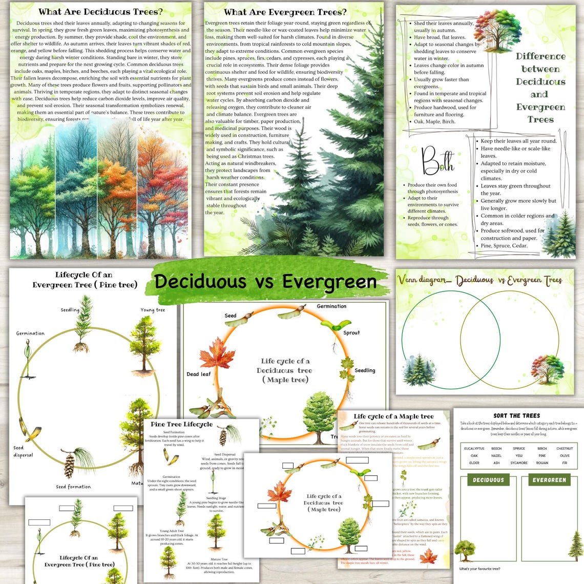 BOTANY Bundle, Flower Unit, Roots Unit, Fruits Unit, Trees Unit, Leaf ...