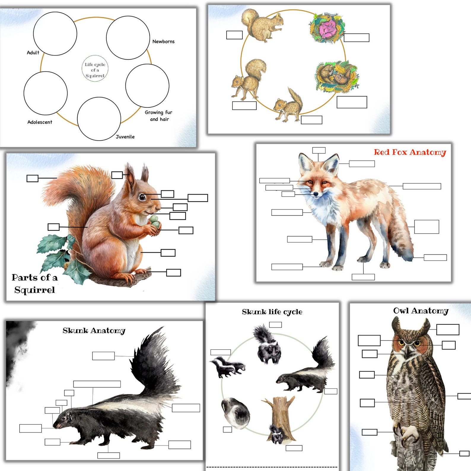 Winter Forest Animals Unit Study, Winter Activities, Animal Tracks Unit ...