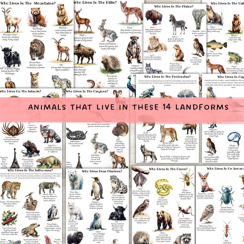 Landforms Unit Study, Geography Unit, Geography Homeschool, Landform ...